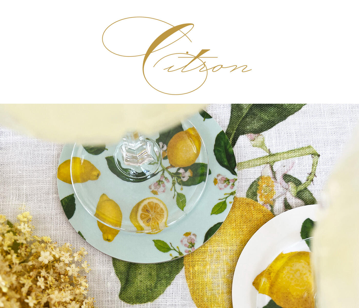 Citroner - Koustrup & Co.