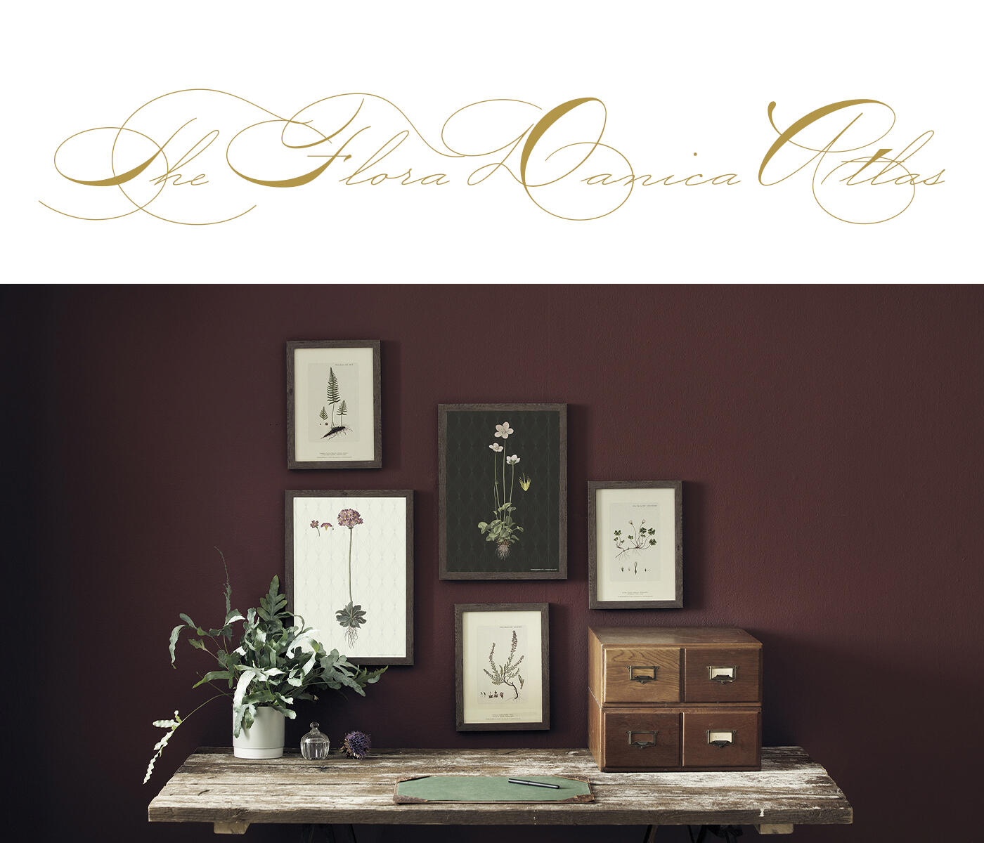 THE FLORA DANICA ATLAS - Koustrup & Co.