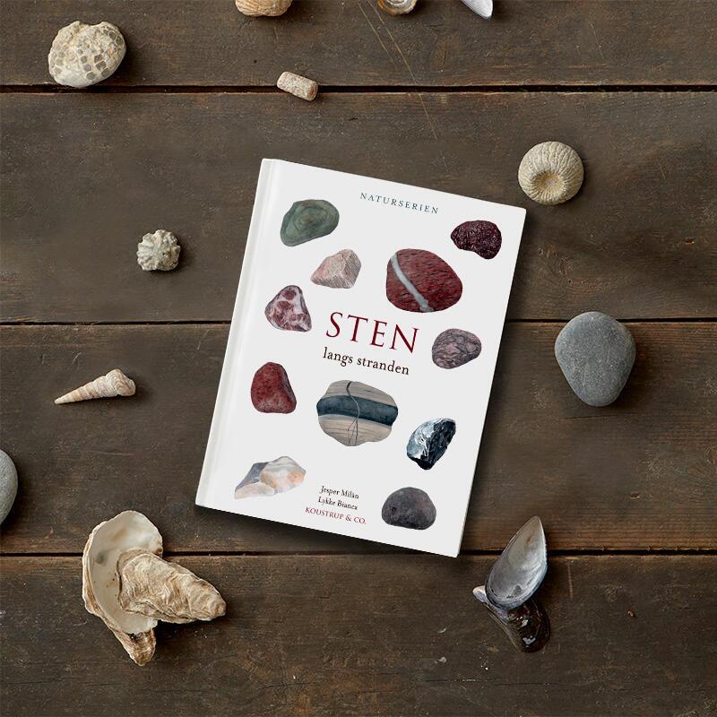 Stones Along the Beach | Book about rocks on Danish beaches